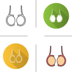 Male Testicles Vector Images (over 2,000)