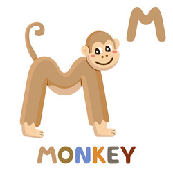 Monkey Flashcard Vector Images (over 140)