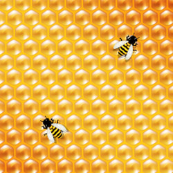 Happy bees frame background Royalty Free Vector Image