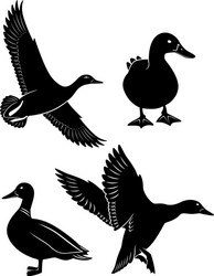 Duck Vector Images (over 51,000)