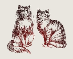 Hand drawn sketch drawing of predator lynx Vector Image