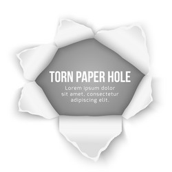 Torn Paper Hole Vector Images (over 3,800)