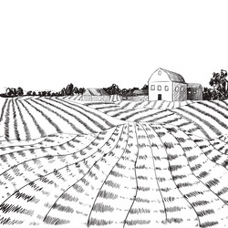 Farmland Drawing