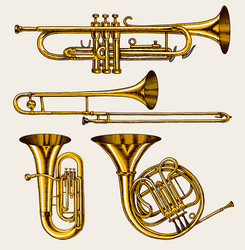 Wind instruments in sketch and cartoon style Vector Image