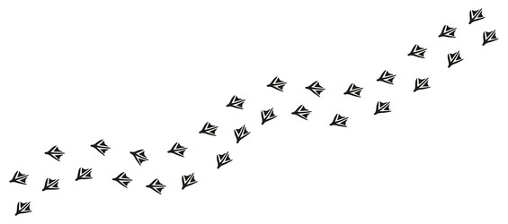 Duck Tracks Vector Images (over 930)