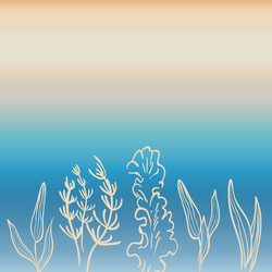 Seaweed card design on chalkboard edible algae Vector Image