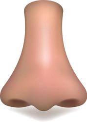 Human nose icon Royalty Free Vector Image - VectorStock