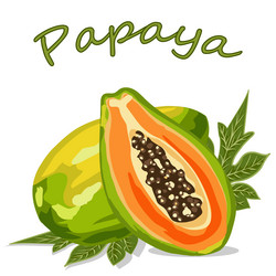 Pink Papaya Vector Images (over 230)