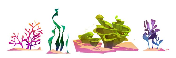 Leaf Reef Vector Images (over 2,600)