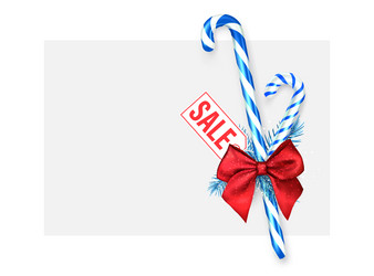 Two striped candy cane sticks with blue fir Vector Image