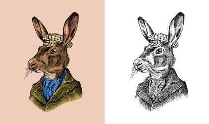 Vintage Rabbit Etching Vector Images (over 180)