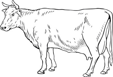 Dug Vector Images (over 240)