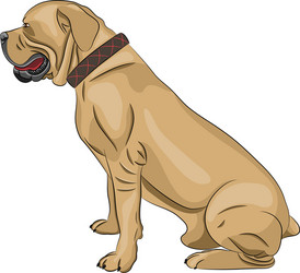 Boerboel Vector Images (57)