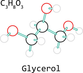 Glycerol Vector Images (78)