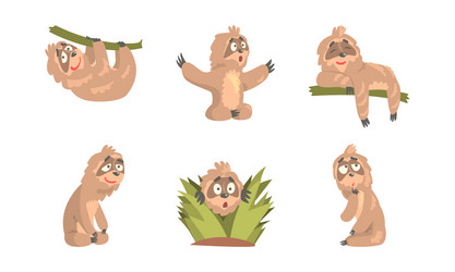 Adorable baby sloth animal hanging on tree branch Vector Image