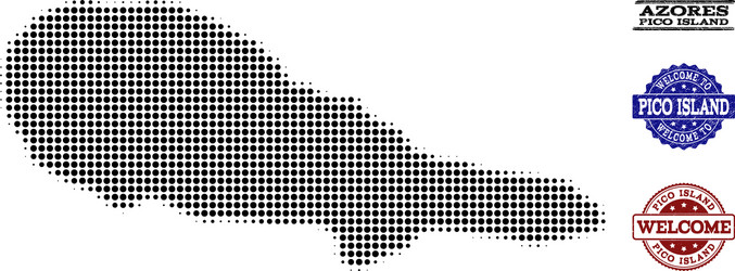 Polygonal network mesh map of pico island Vector Image
