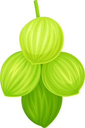 Palm Kernel Vector Images (over 110)