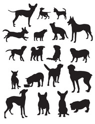 Dog training silhouettes trainer Royalty Free Vector Image