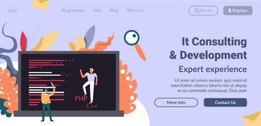 It consulting and development expert experience Vector Image