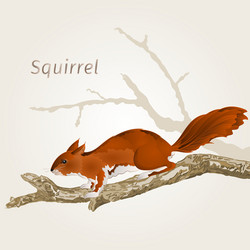 Rodent Vector Images (over 35,000)