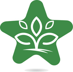 Star tree logo design Royalty Free Vector Image