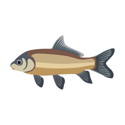 Freshwater carp fish cartoon herring Royalty Free Vector