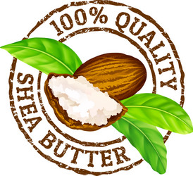 Shea beauty butter set cartoon Royalty Free Vector Image