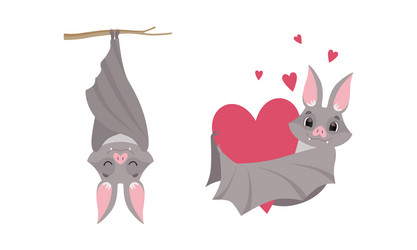 Cute bat sleeping upside down cartoon flat Vector Image