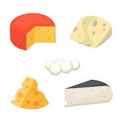 Cheese types in cartoon style Royalty Free Vector Image