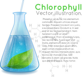 Laboratory flask Royalty Free Vector Image - VectorStock