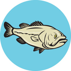 Bass Fish Vector Images (over 6,900)