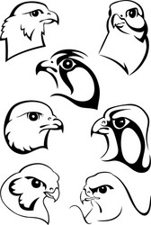 Falcon Outline Vector Images (over 3,000)