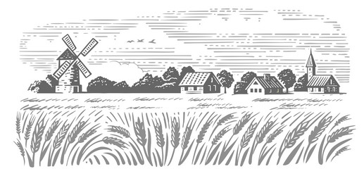 Drawn Vintage Wheat Vector Images (over 4,100)