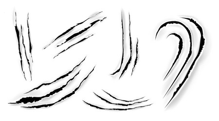 Dragon claw marks scratches monster fingers Vector Image