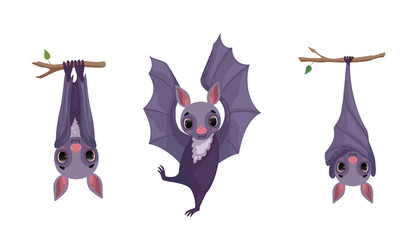 Upside Down Bat Vector Images (over 160)