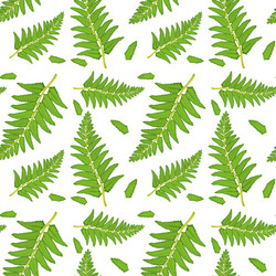 Cartoon Fern Vector Images (over 2,300)