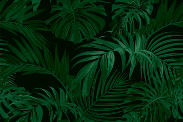 Dark green tropical pattern with palm leaves Vector Image