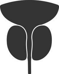 Human Prostate Vector Images (over 1,300)