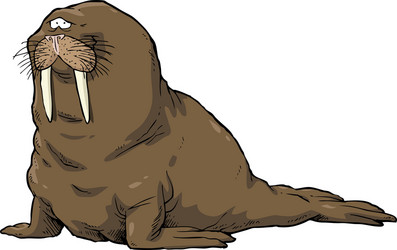 Walrus wild animal character cartoon Royalty Free Vector