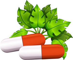 Encapsulation Vector Images (over 150)