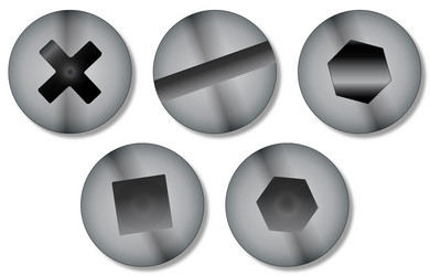 Screw heads Royalty Free Vector Image - VectorStock