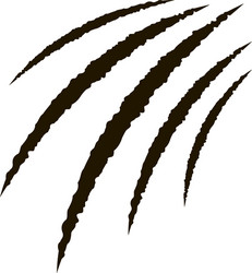 Bear Paw Scratch Marks Vector Images (over 620)