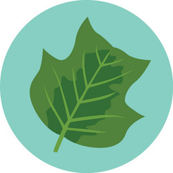 Flat-icon-betel-leaf Royalty Free Vector Image