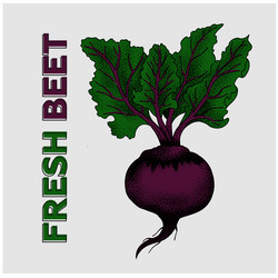 Beet Logo Vector Images (over 1,400)