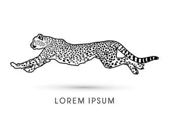 Leopard Running Drawing