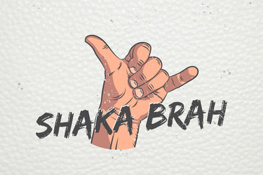 Realistic hand gesture - call me shaka brah Vector Image
