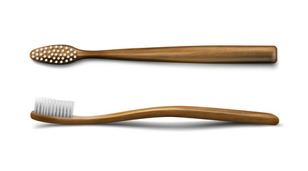 Toothbrushes mockup realistic toothbrush Vector Image