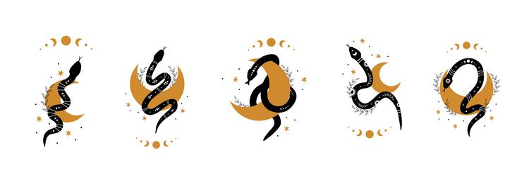 Islamic windows in oriental style set of arabic Vector Image