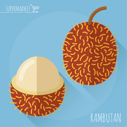 Rambutan fruit Royalty Free Vector Image - VectorStock