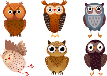 Set various cute colorful owls Royalty Free Vector Image